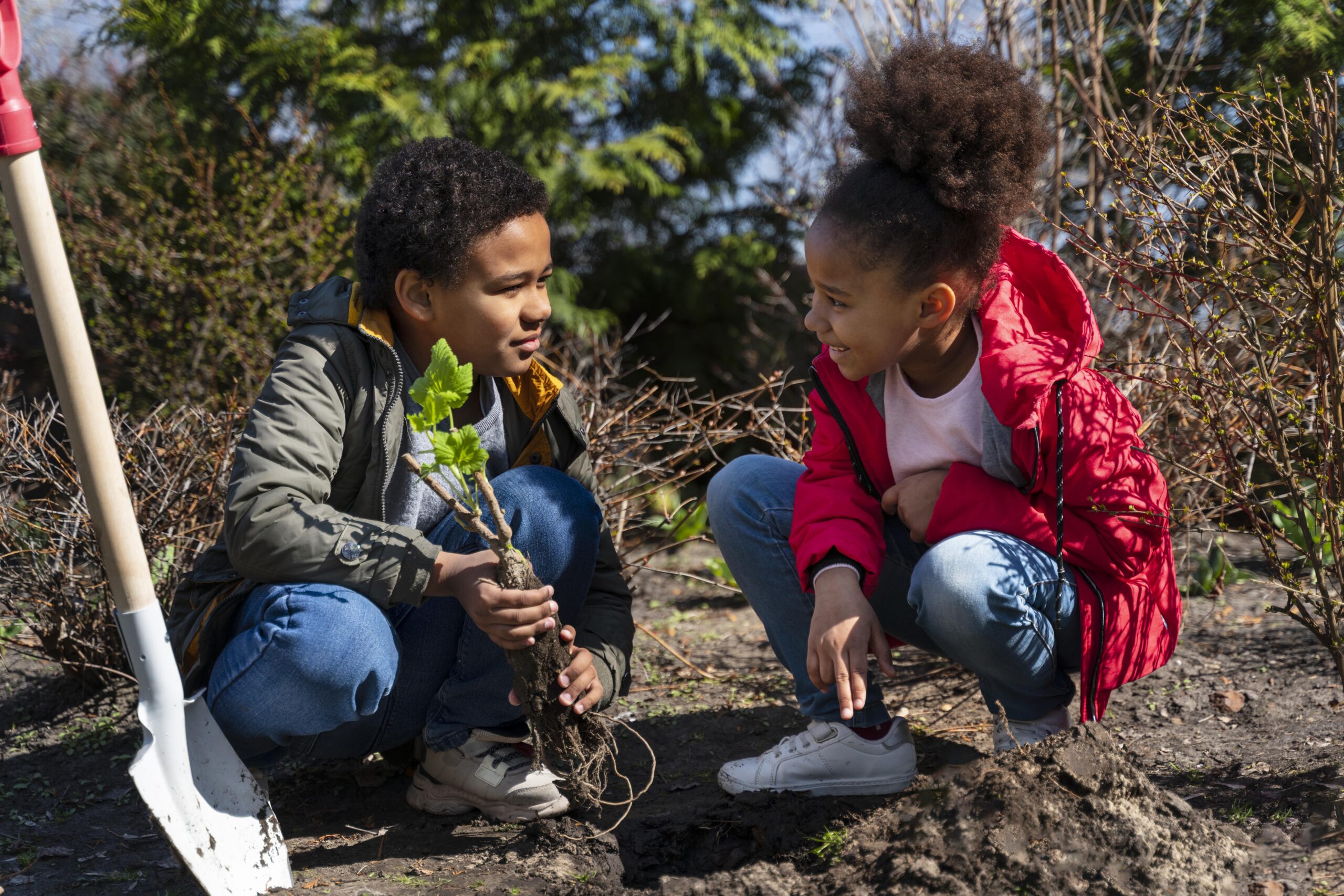 Uprooting Injustice, One Tree at a Time. Join our webinar! – Friends ...